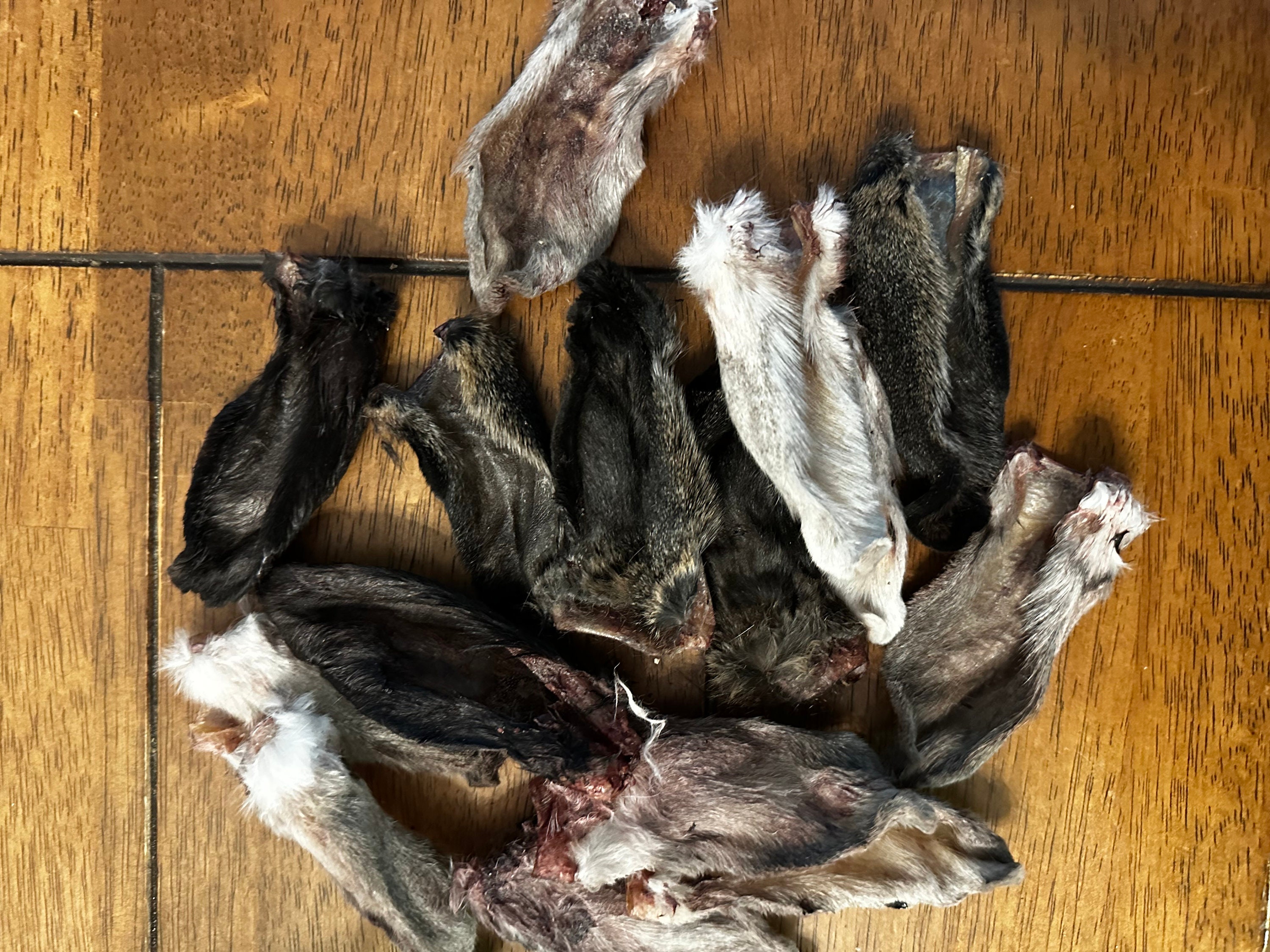 Raw Dog Dog Treats Dehydrated Rabbit Ear - Etsy