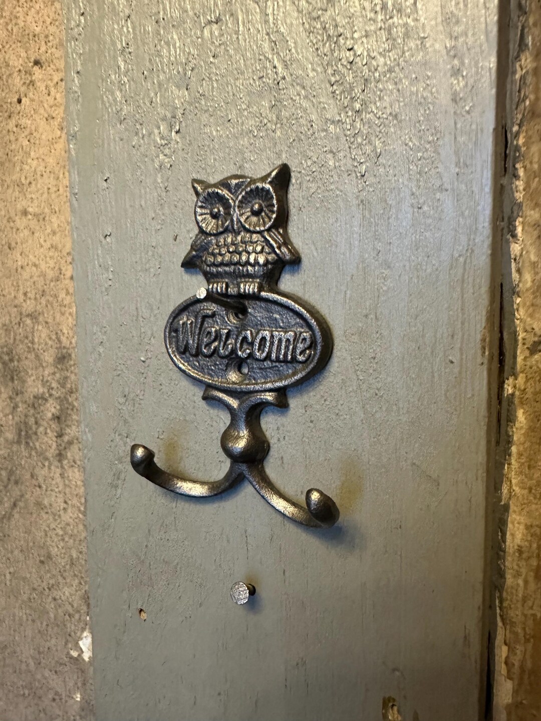 Cute Owl Welcome Plaque With Double Hooks Entryway Key Holder - Etsy