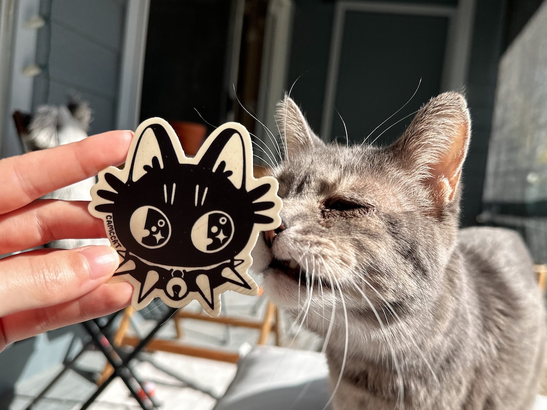 Punk Kitty Vinyl Sticker, Cute Black Cat With Spiked Collar ...