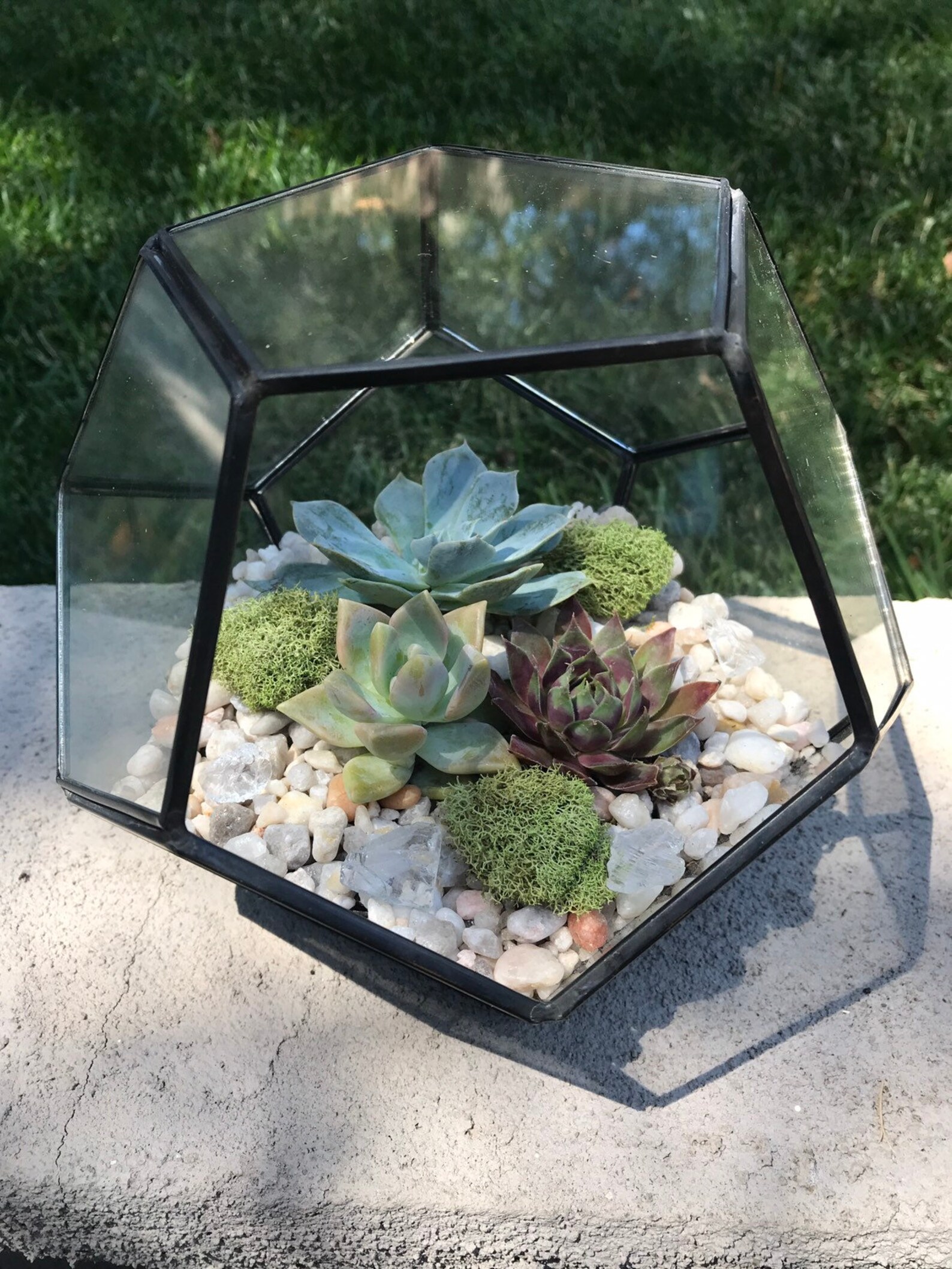 Glass Hexagon Terrarium With Succulents KIT to Make - Etsy