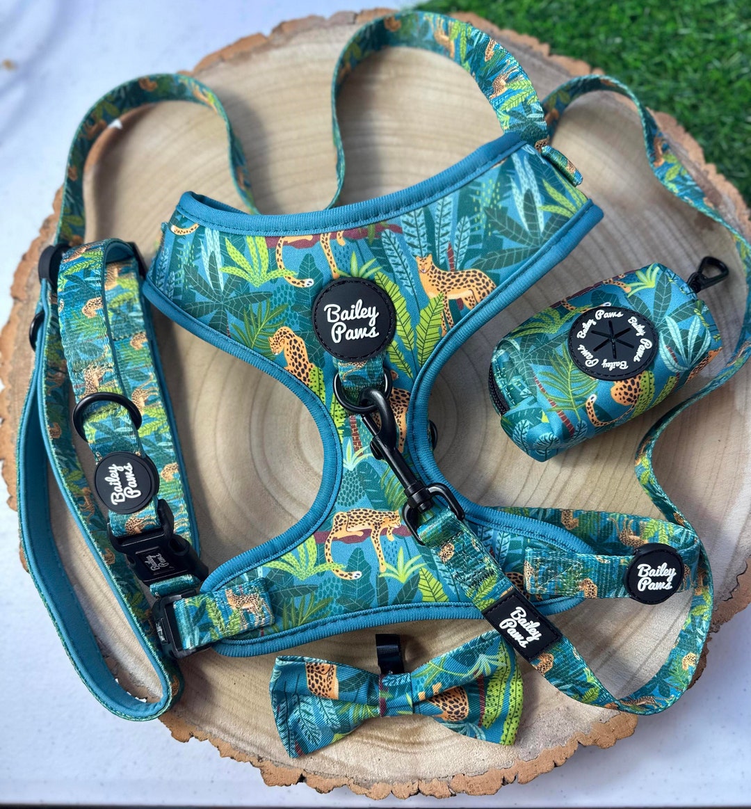 Dog Harness Set Leopard Print Harness and Lead Set Puppy Harness and ...
