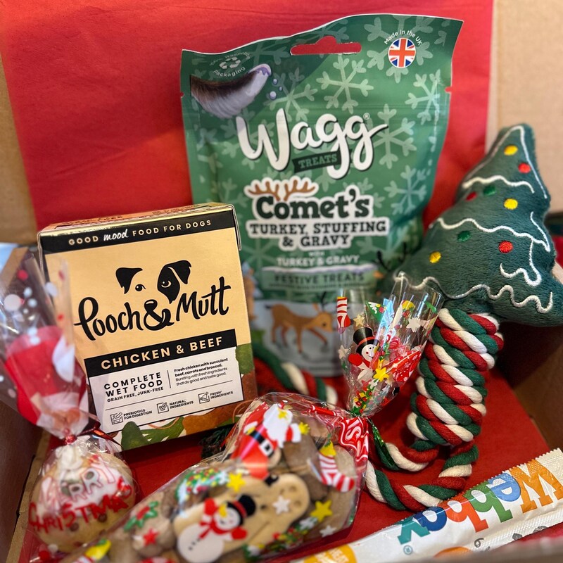 Dog Gift Box - 60+ Gift Ideas for 2024