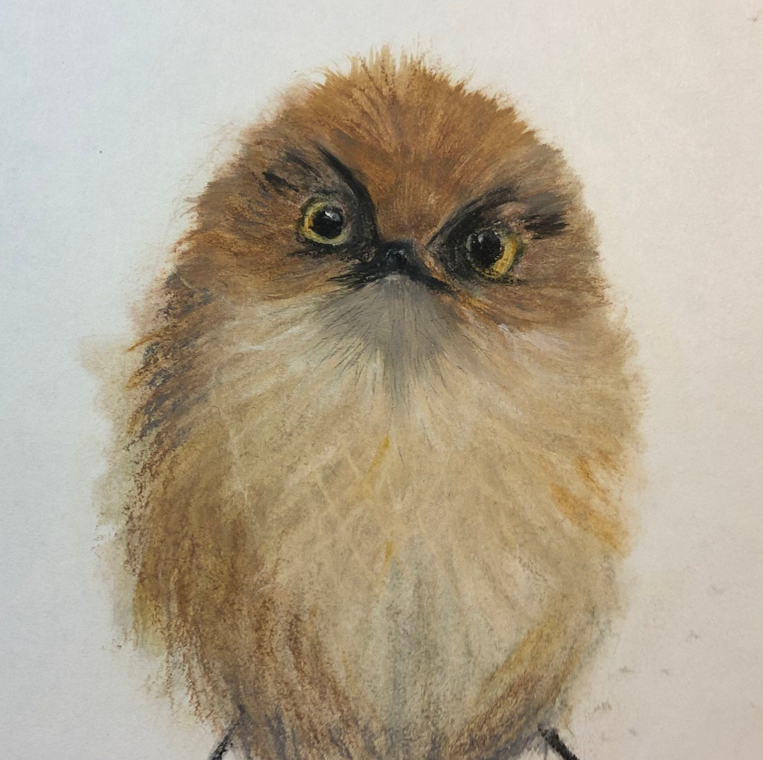 Hand Drawn Angry Bird bushtit in Oil Pastel Crayons 8x12 - Etsy