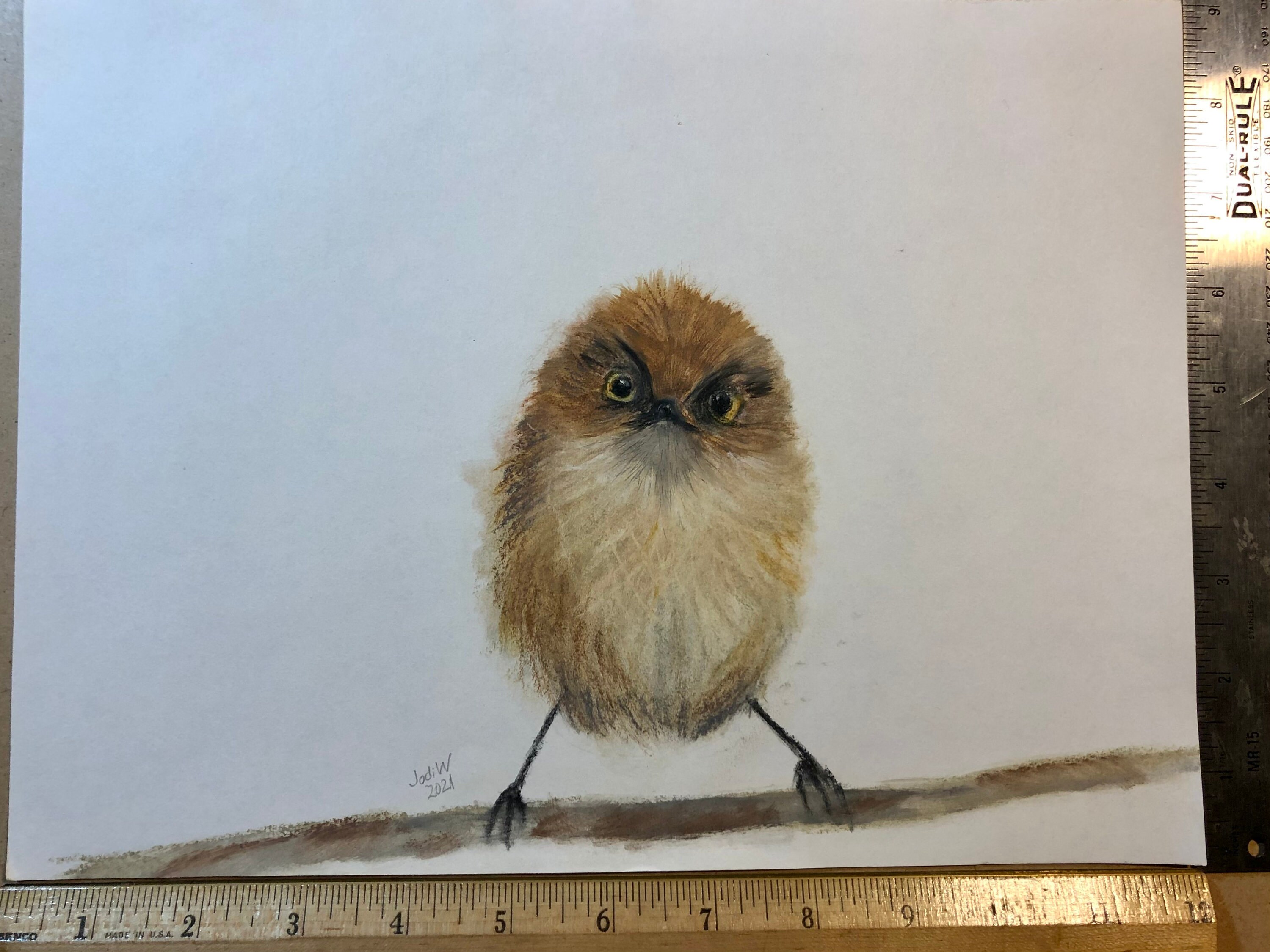 Hand Drawn Angry Bird bushtit in Oil Pastel Crayons 8x12 - Etsy
