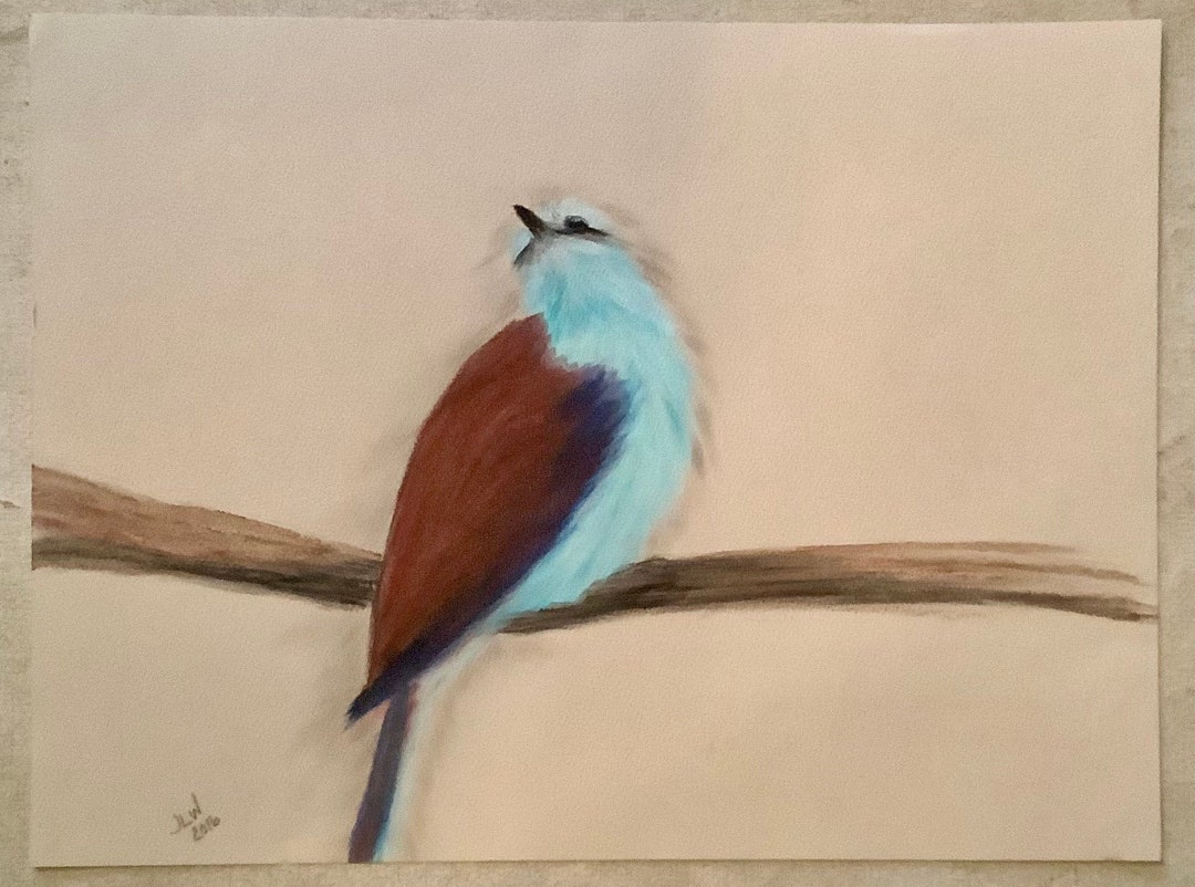 Aqua Blue Bird on Branch Hand Drawn 9x12 - Etsy