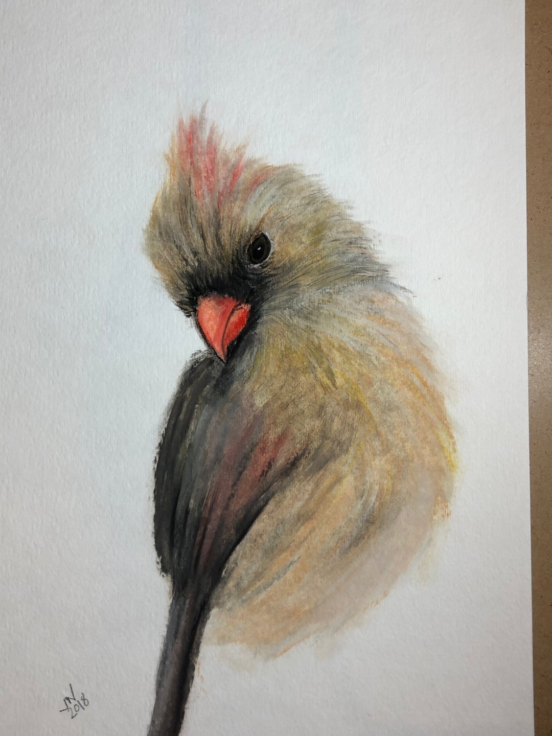 Shy Red Cardinal With Head Turned in Oil Pastels 9x12 - Etsy