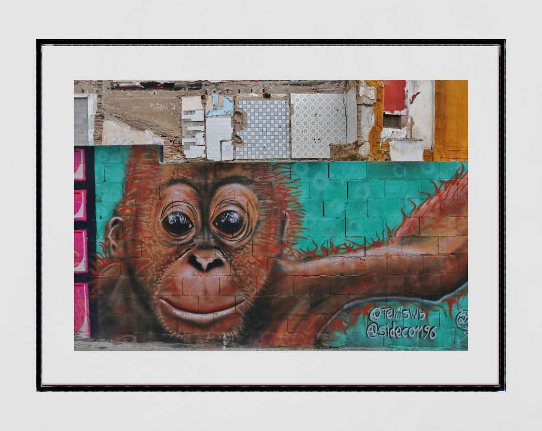 Malaga Street Art Monkey Photography Print - Etsy UK