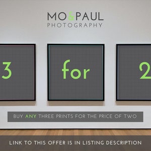 Fairuz Poster Beirut Photography Lebanese Art - Etsy UK