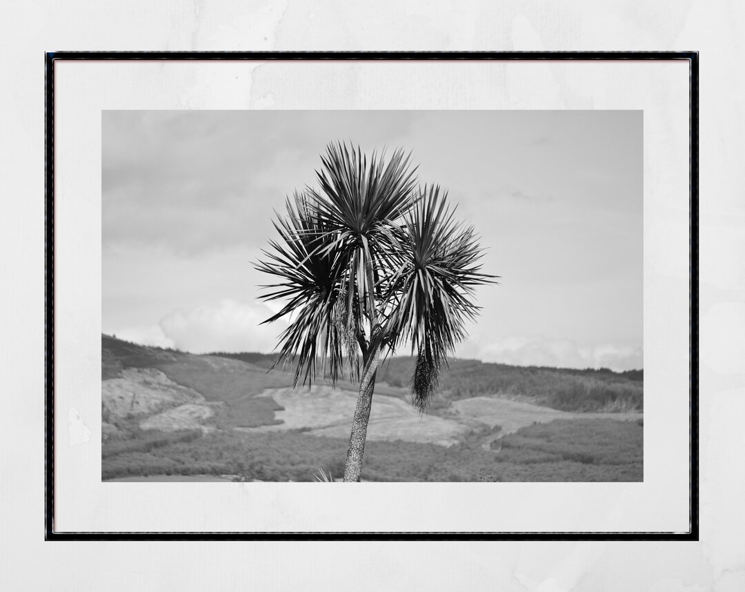 Palm Tree Print Rothesay Poster Isle of Bute Black and White Wall Art ...