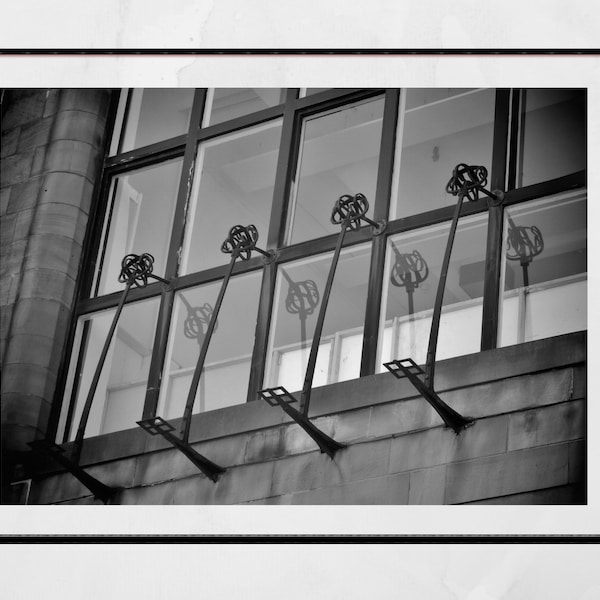 Glasgow Rose - Etsy