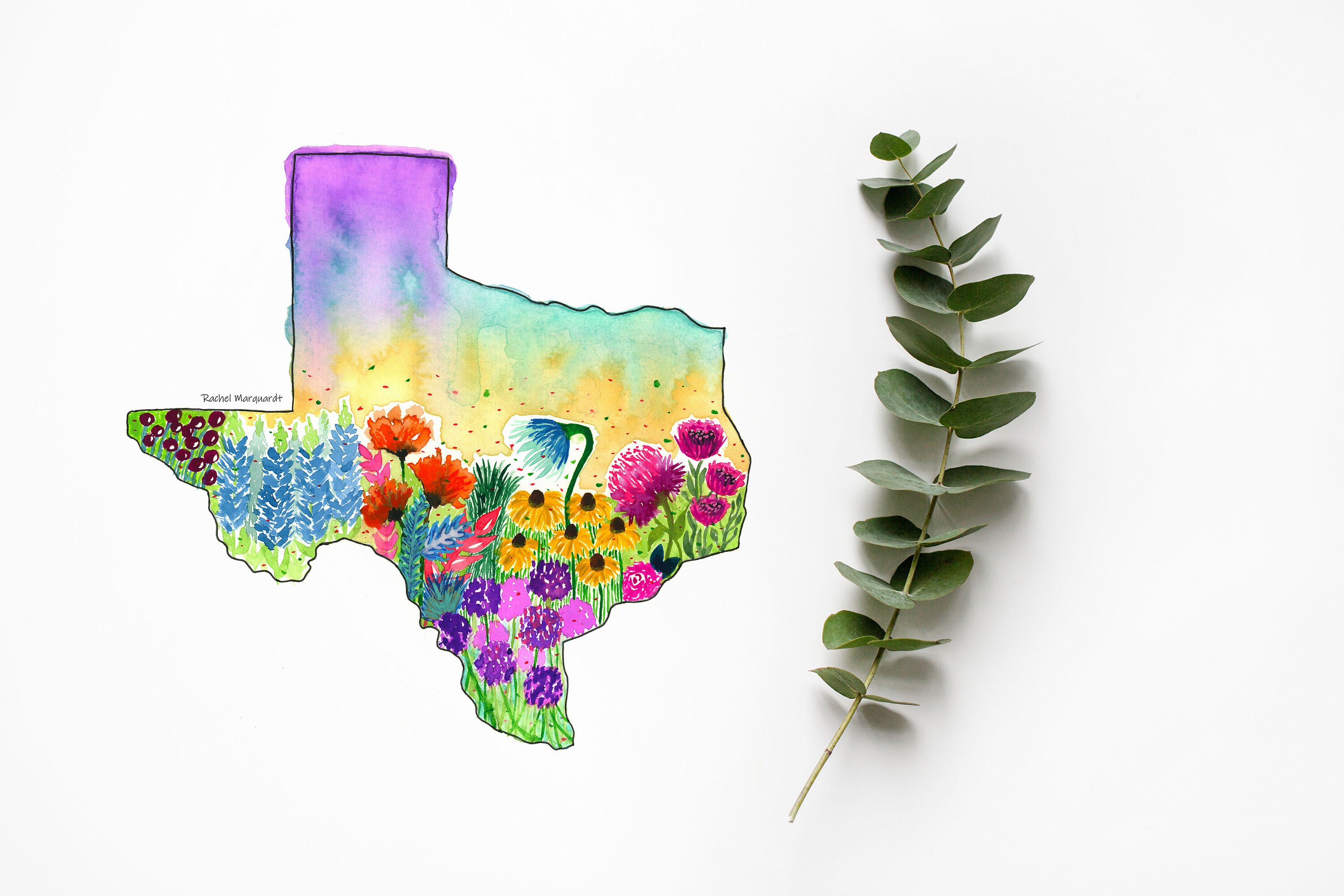 Texas Map Art: Bluebonnet Watercolor Painting by Rachel Marquardt - Etsy