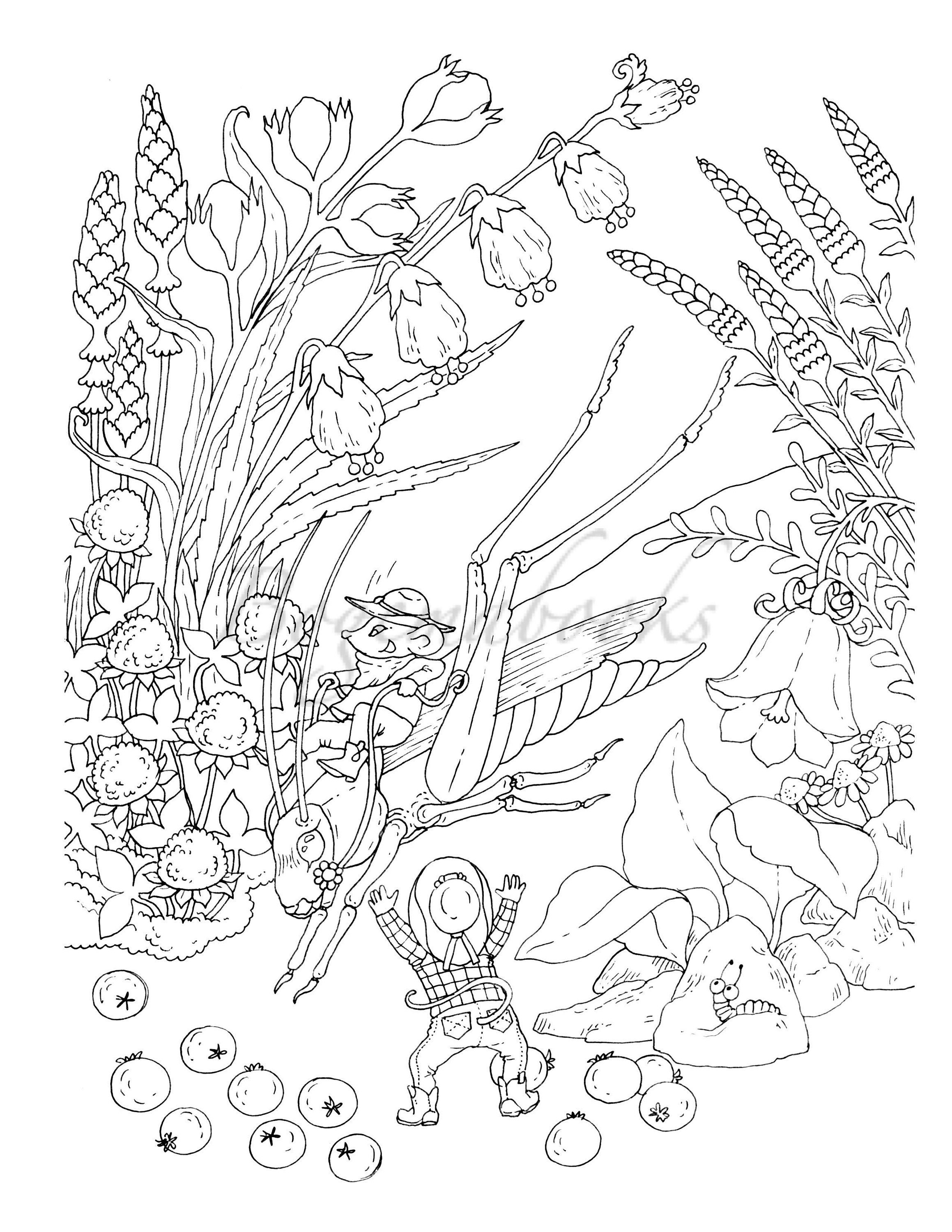 Francesco Coloring Pages