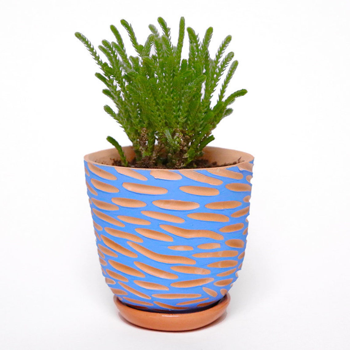 Terracotta Flower Pot blue Waves Assorted Plate - Etsy