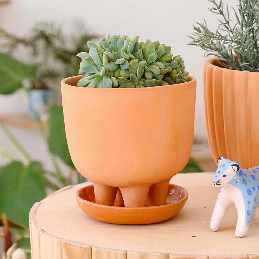 Terracotta Pot Zoi Assorted Plate - Etsy