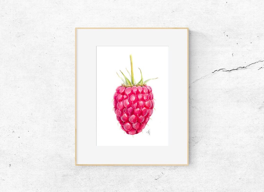 Raspberry Art Print, Watercolor Raspberry Print, Botanical Berry Art ...