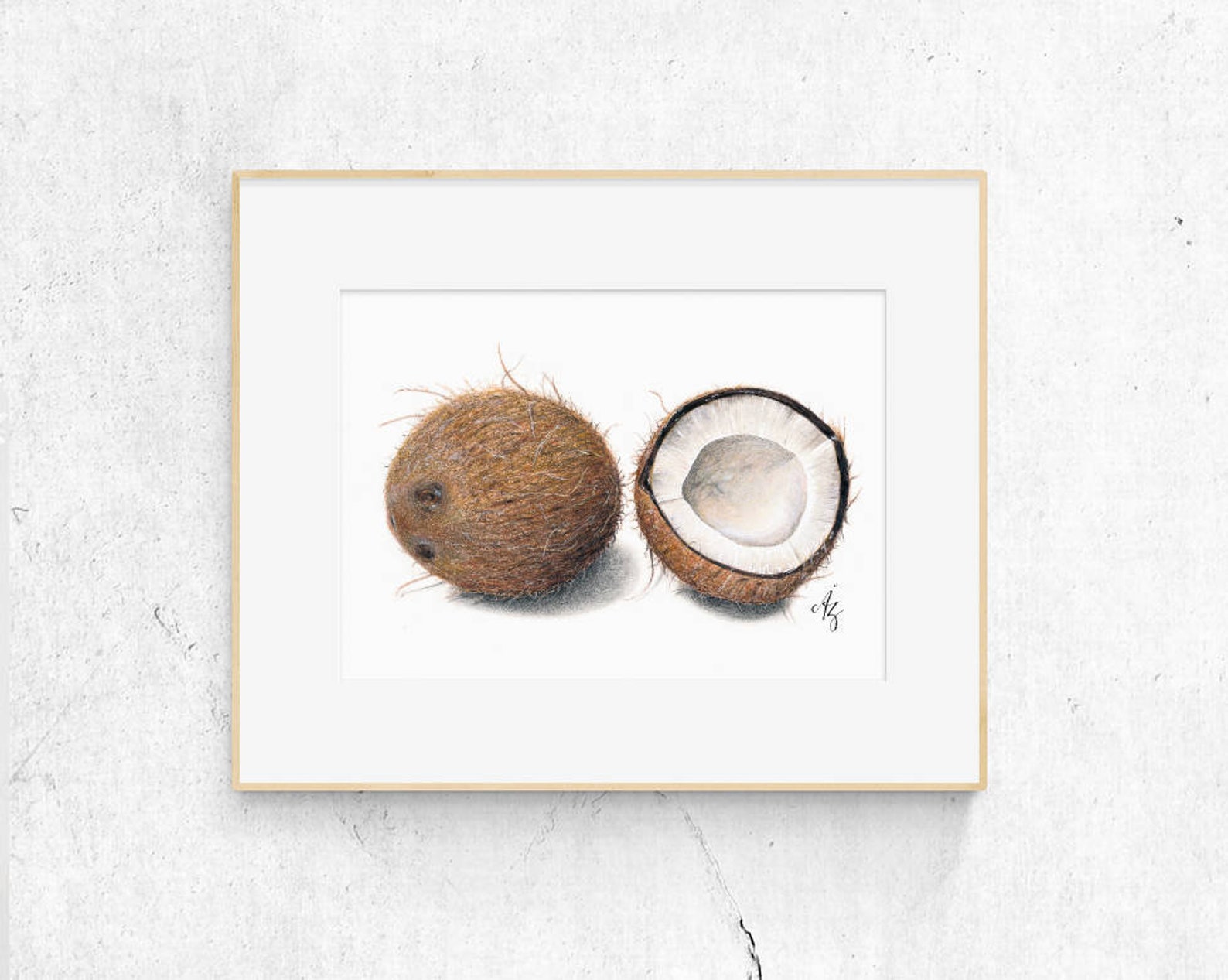 Coconut Art Print, Coconut, Realistic Art, Wall Decor, Kitchen Art ...