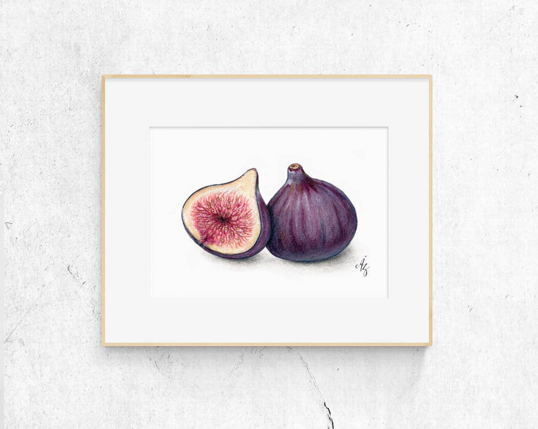 Fig Art Print, Fig, Figs, Realistic Art, Wall Decor, Kitchen Art, Fruit ...