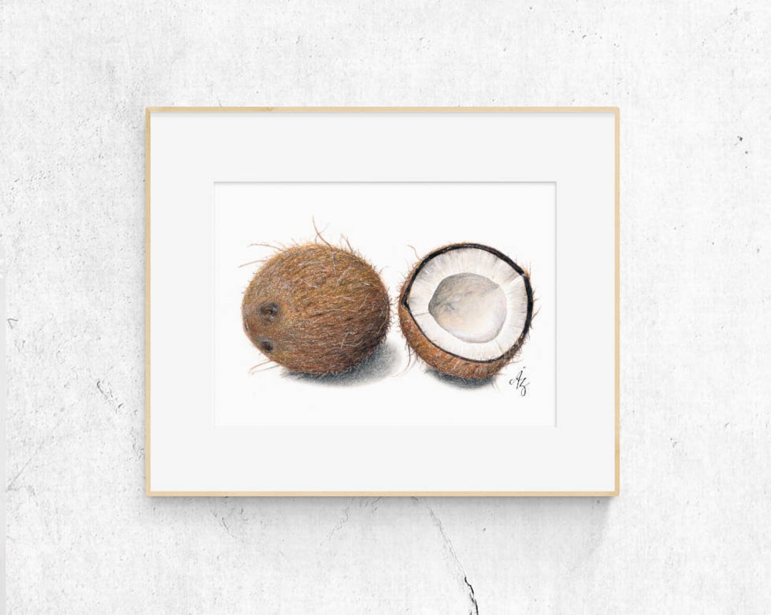 Coconut Art Print, Coconut, Realistic Art, Wall Decor, Kitchen Art ...
