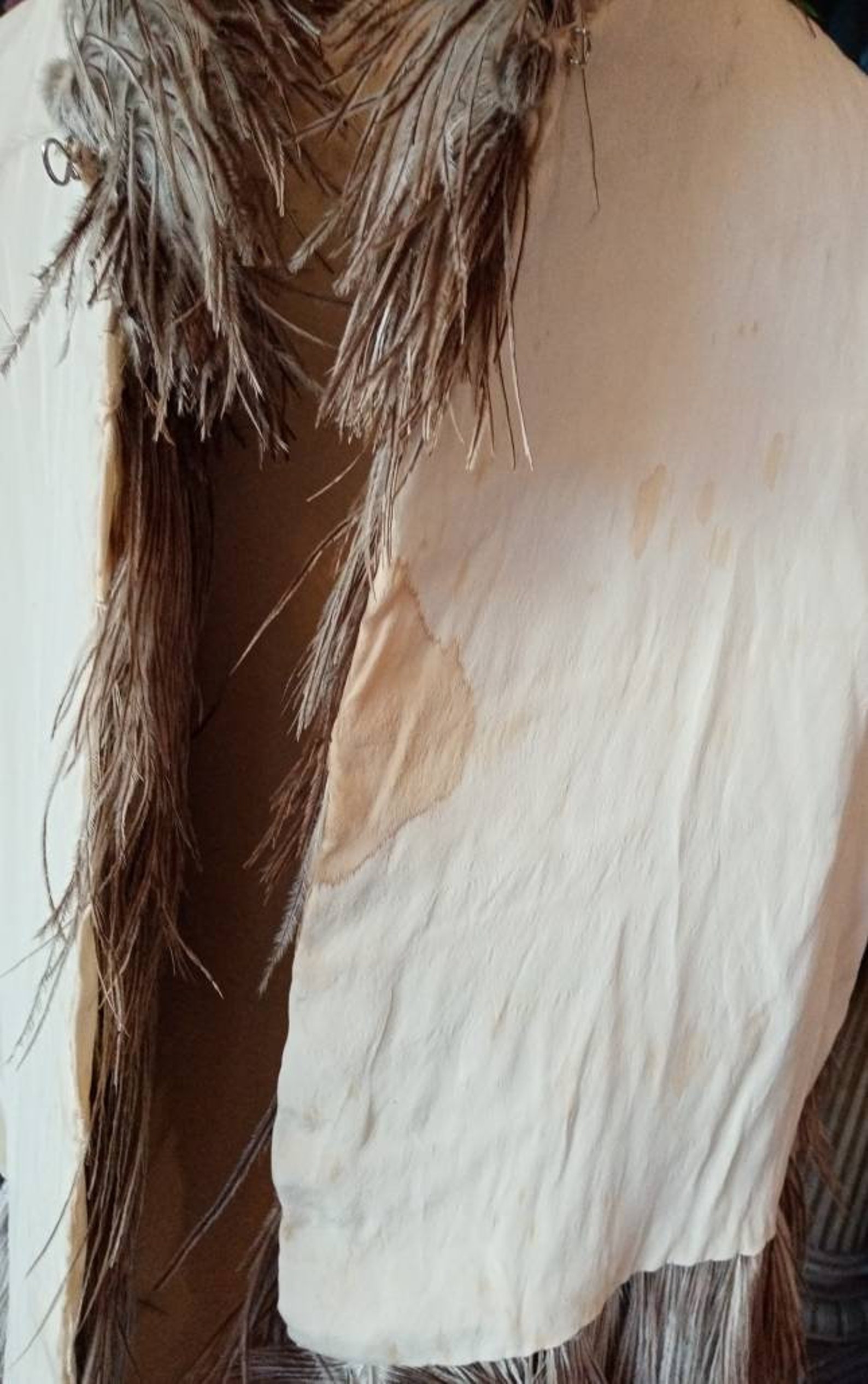 Antique Ostrich Feather Cape 1920s Ostrich Feather Cape - Etsy