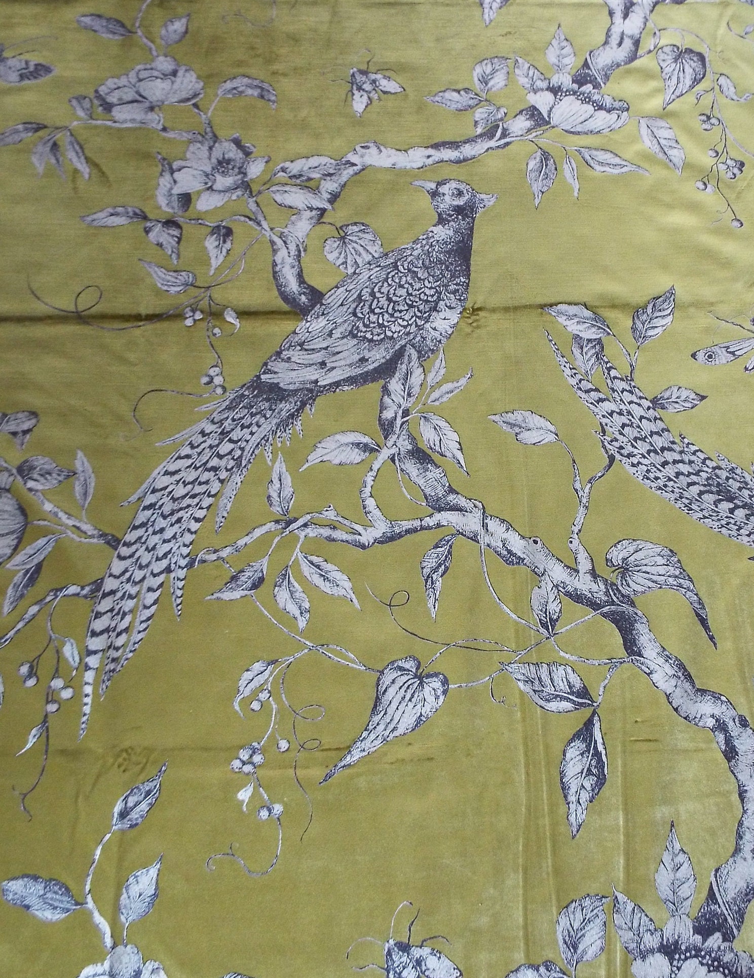 Zoffany darnely Toile Velvet Fabriczoffany - Etsy