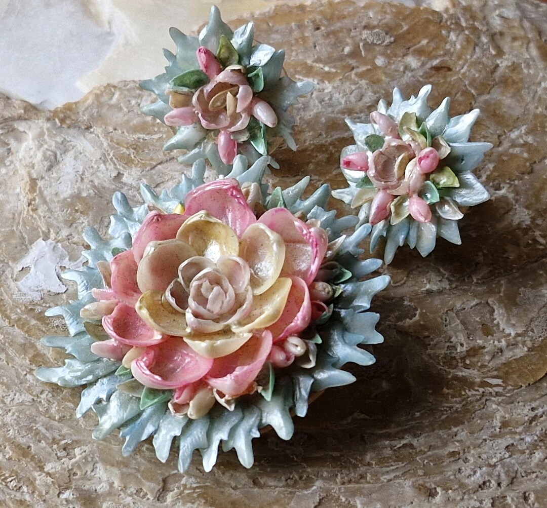 Vintage Shell Jewellery Set-1930s Shell Brooch and Screwback Earrings ...