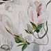 Designers Guild Japanese Magnolia Cotton Furnishing Fabric - Etsy