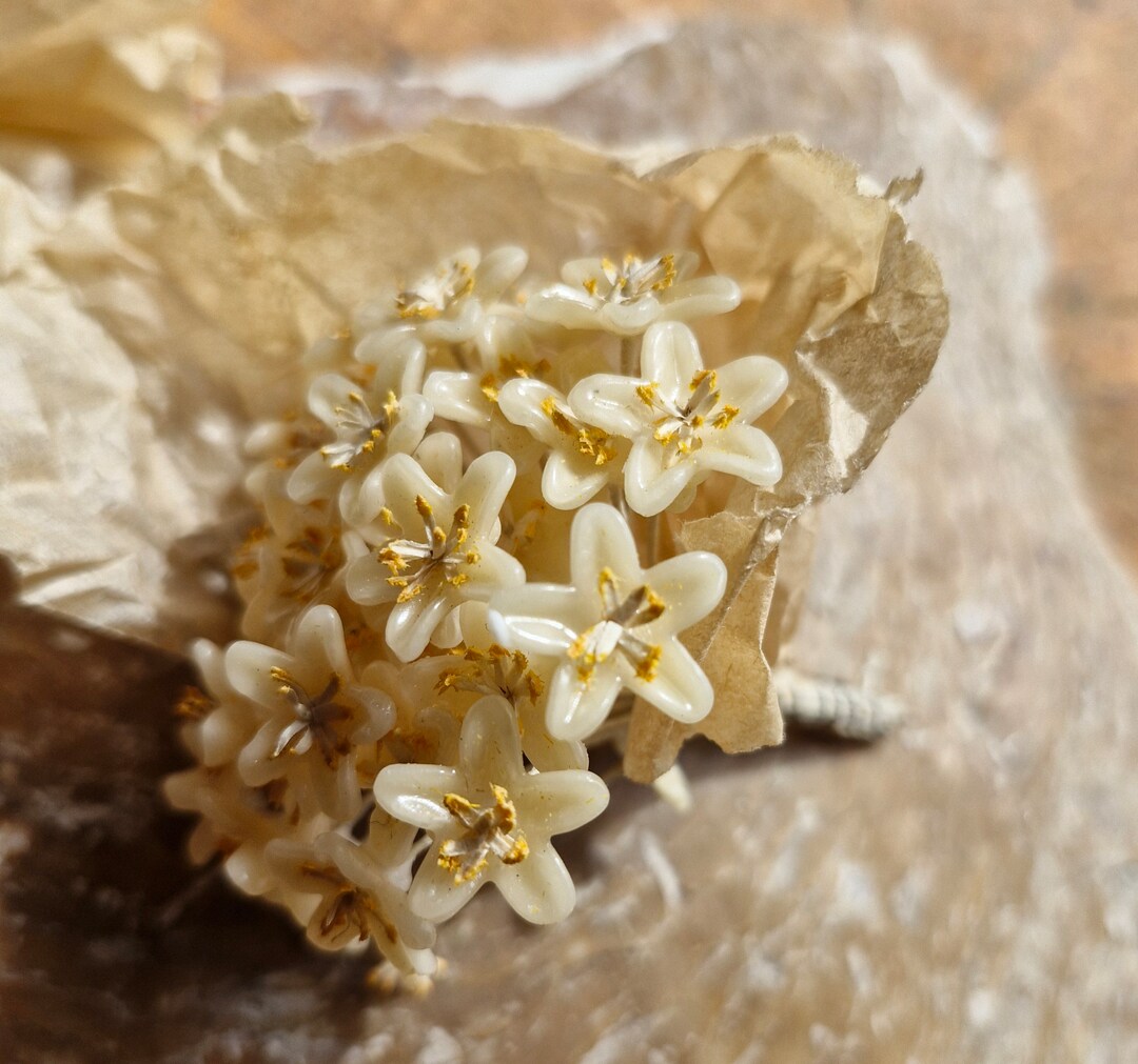 Antique French Millinery Wax Flowers-1920s to 30s Wax Flower Bridal ...