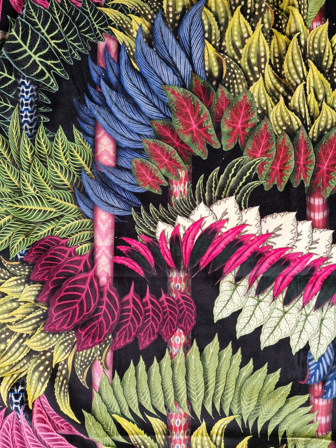 Christian Lacroix Belorizonte Soft Velvet Fabric-christian Lacroix for ...