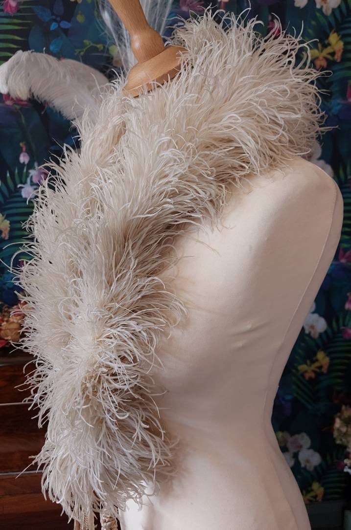 Antique Ostrich Feather Boa 1900s Edwardian Cream Ostrich - Etsy