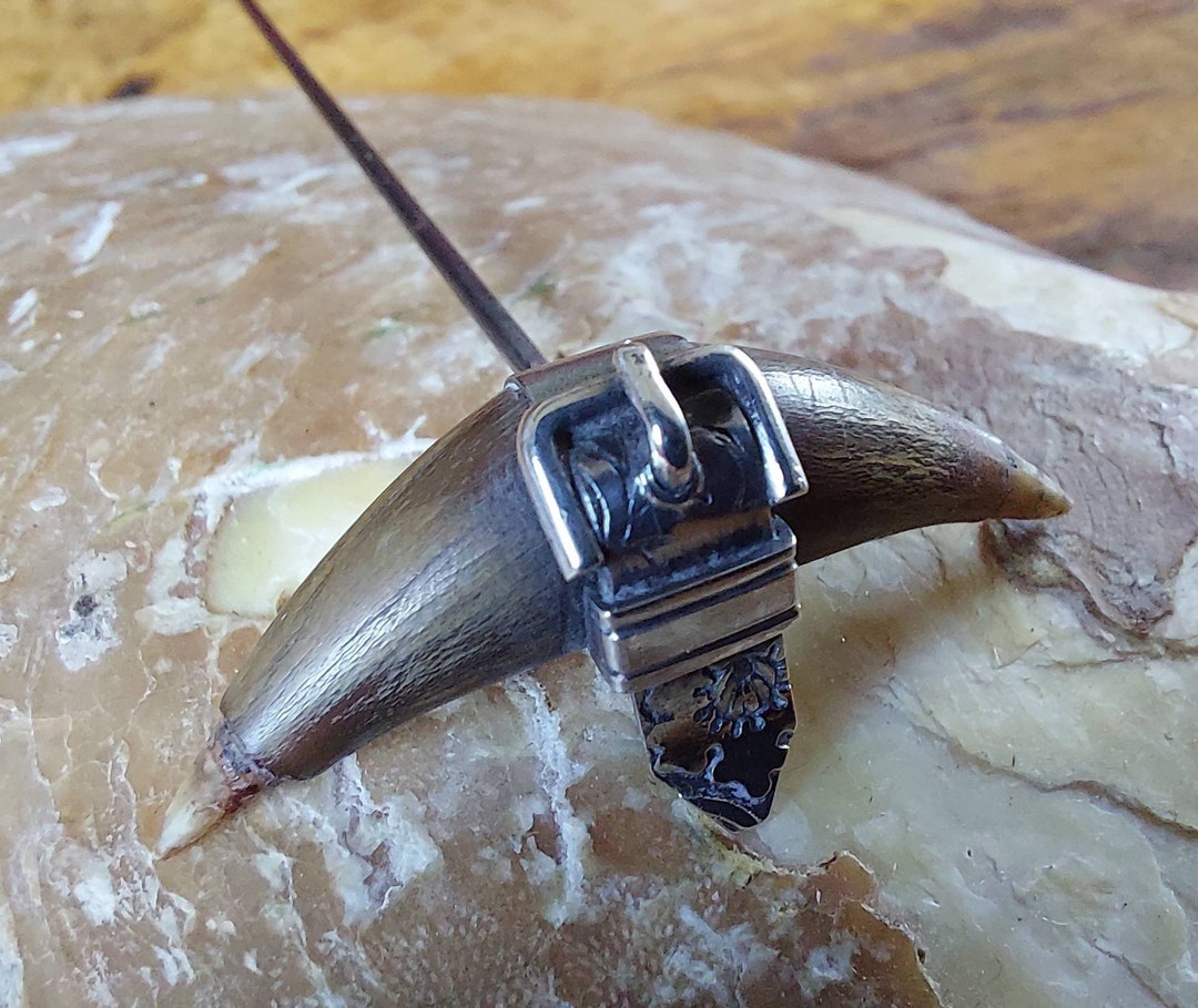 Antique Tooth Hat Pin-victorian Tooth Buckle Band Hat Pin-1800s ...