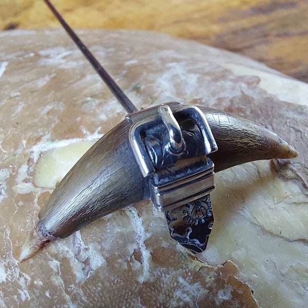 Antique 1800 Buckle - Etsy