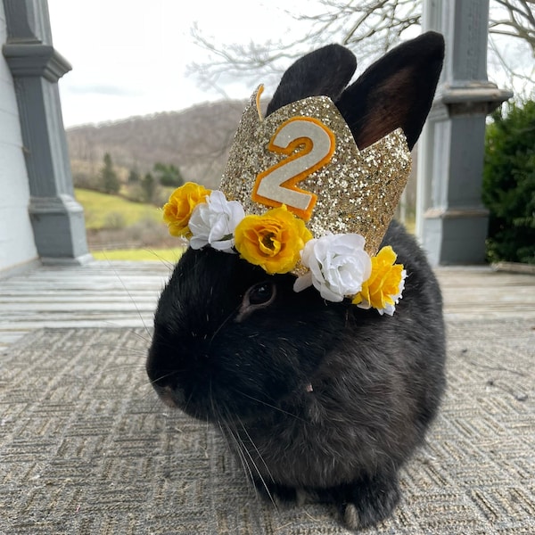 Rabbit and Crown - Etsy