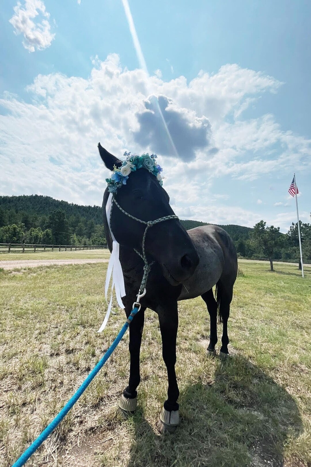 Equestrian Flower Crown, Horse Flower Crown, Large Animal Flower Crown ...