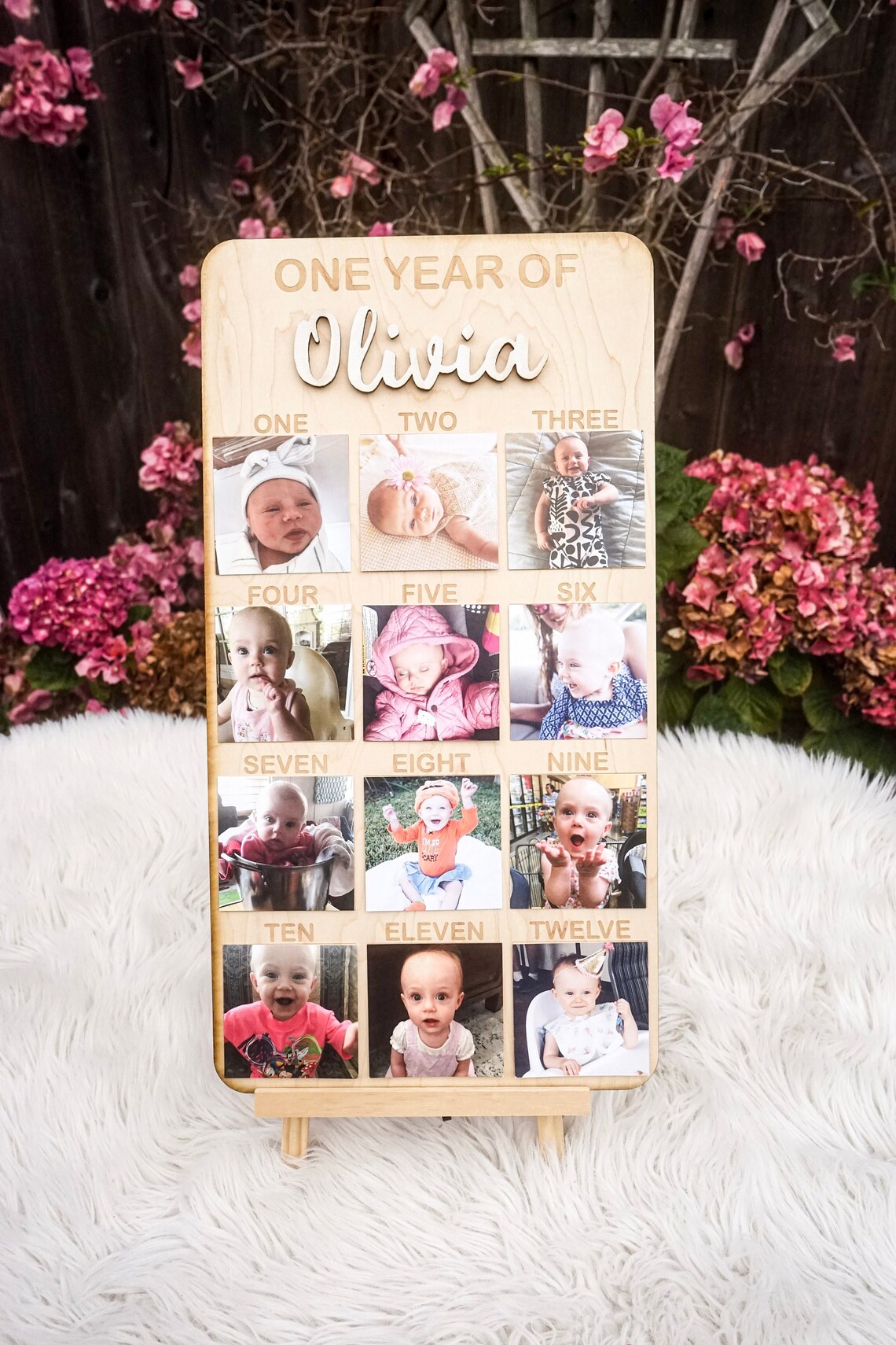 One Year of Baby First Birthday Milestones Sign Monthly Photos - Etsy