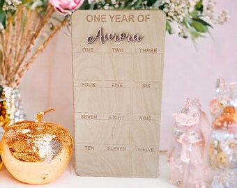 One Year of Baby First Birthday Milestones Sign Monthly Photos 12 ...