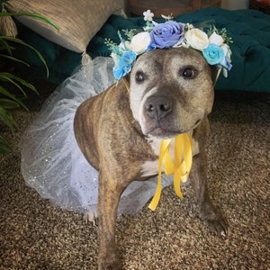 Dog Flower Costume, Custom Dog Flower Crown, Dog Flower Girl, Dog Ring ...