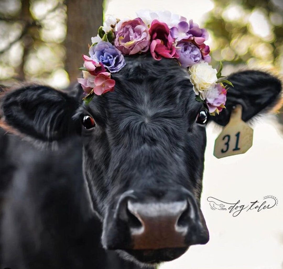 Large Animal Flower Crown, Cow Flower Crown Halo, Bridal Hair Piece ...