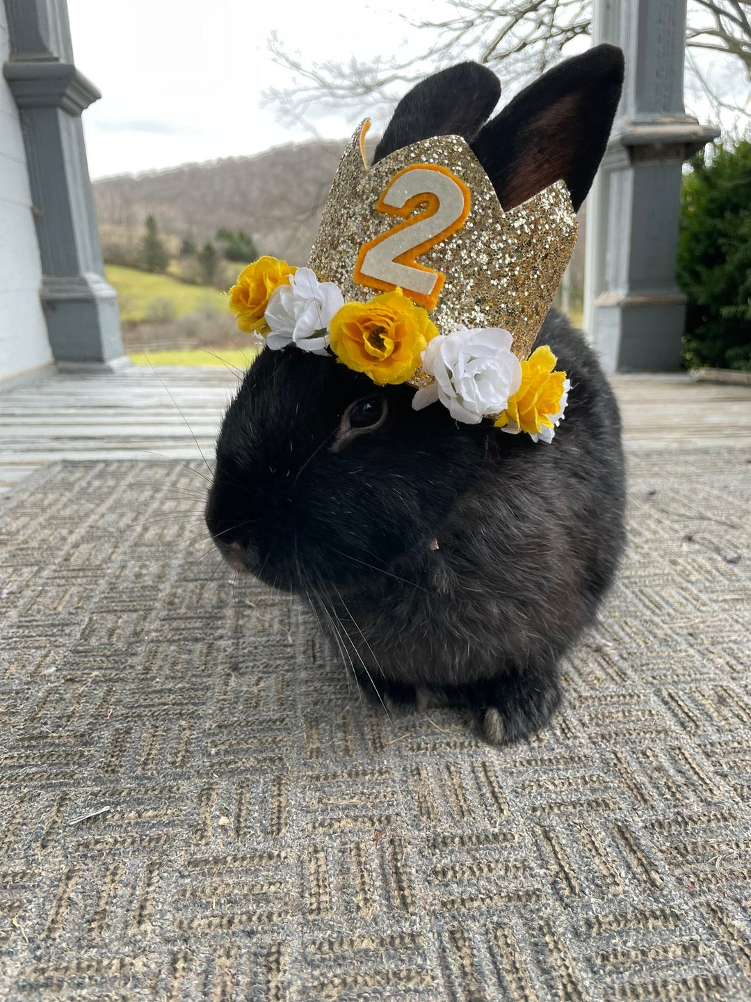 Party Hat for Rabbit, Bunny Birthday Crown, Rabbit Birthday Crown ...