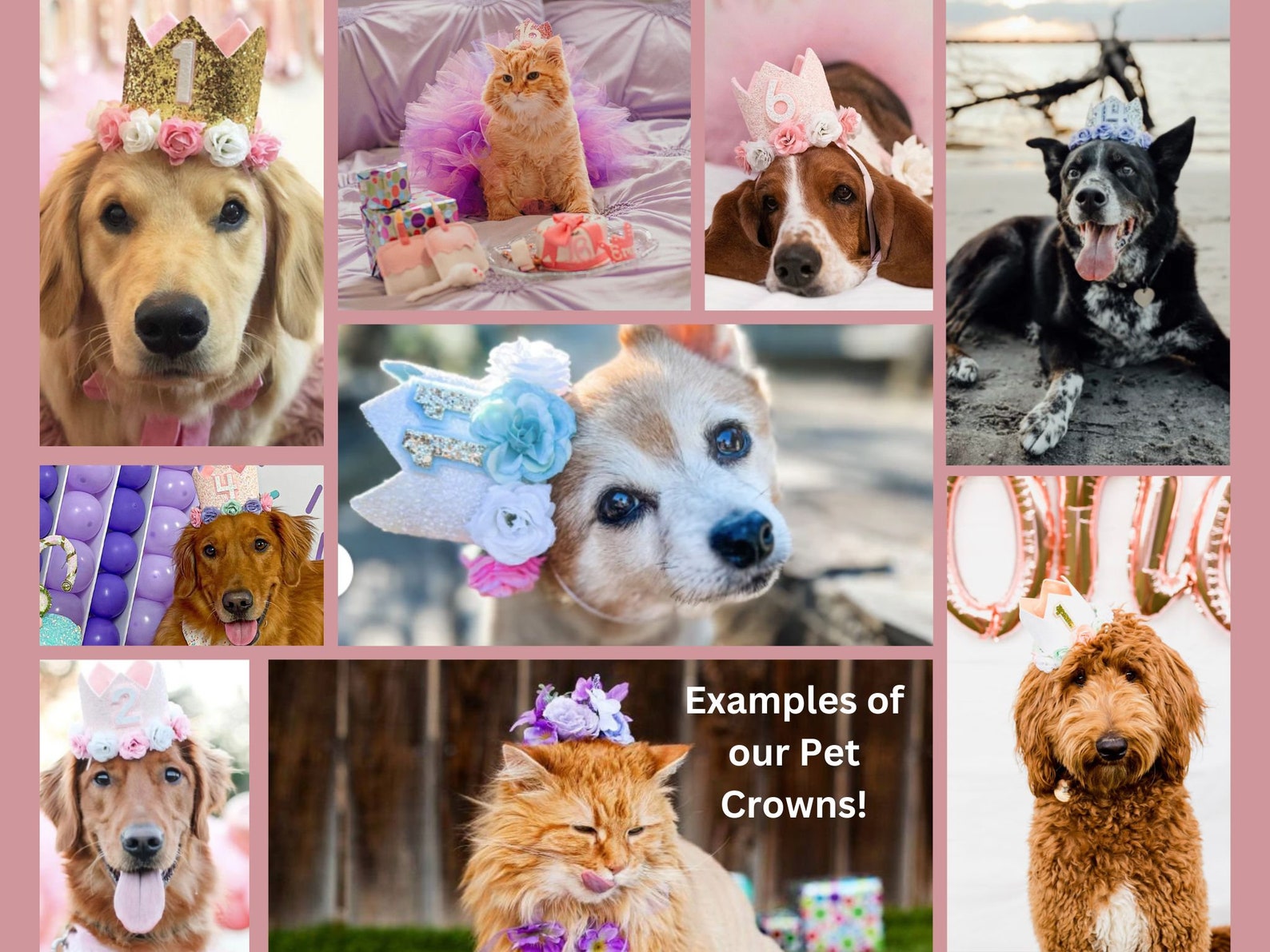 Dog Birthday Crown, Pet Birthday Crown, Dog Crown, Girl Dog Birthday ...