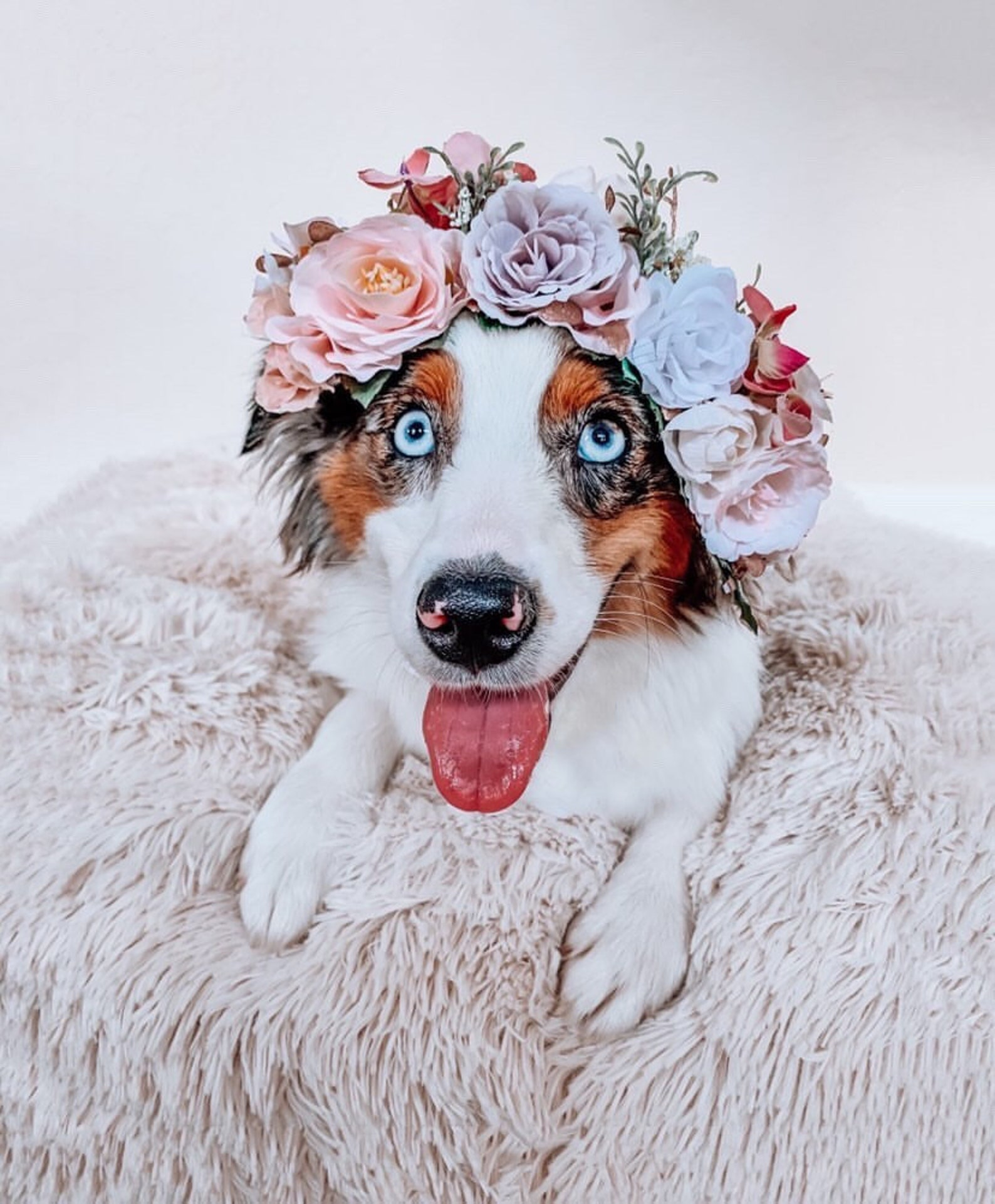 Dog Flower Crown, Dog Floral Crown, Dog Photography Prop, Dog ...