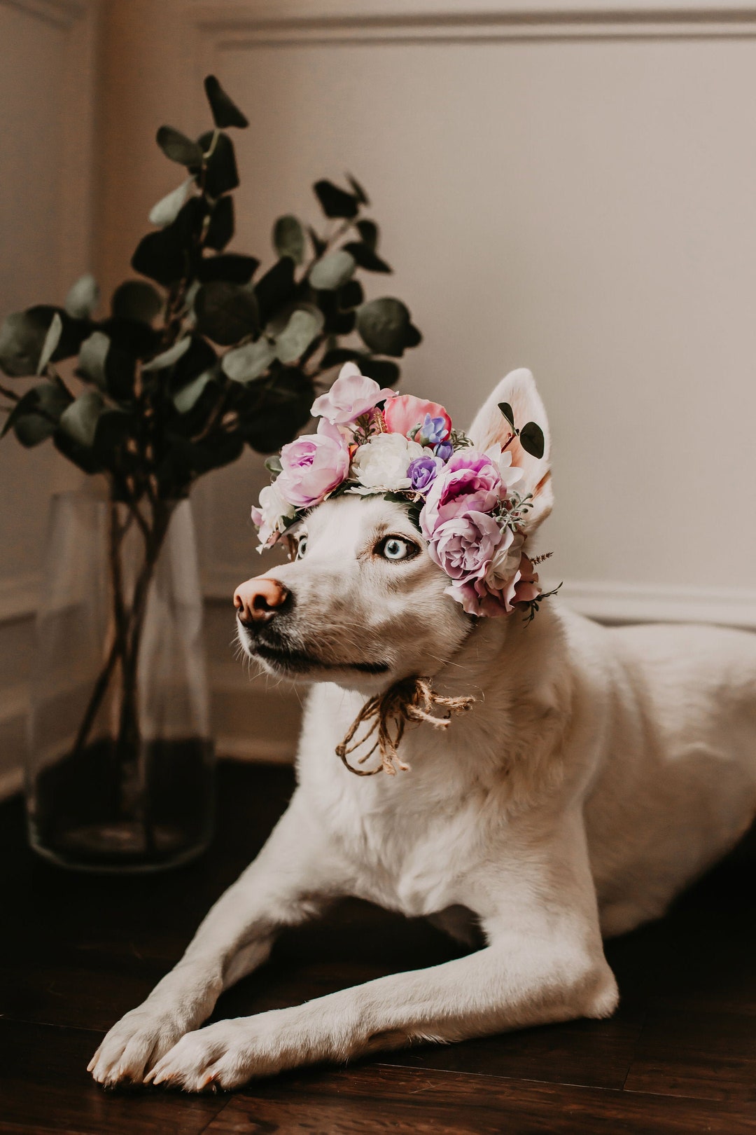 Flower Crown for Dog, Pet Wedding, Dog Floral Wreath, Dog Flower Crown ...