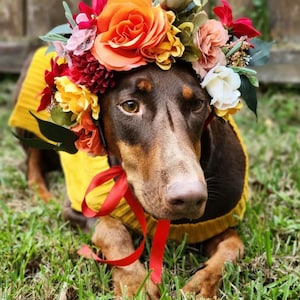 Dog Flower Costume, Custom Dog Flower Crown, Dog Flower Girl, Dog Ring ...