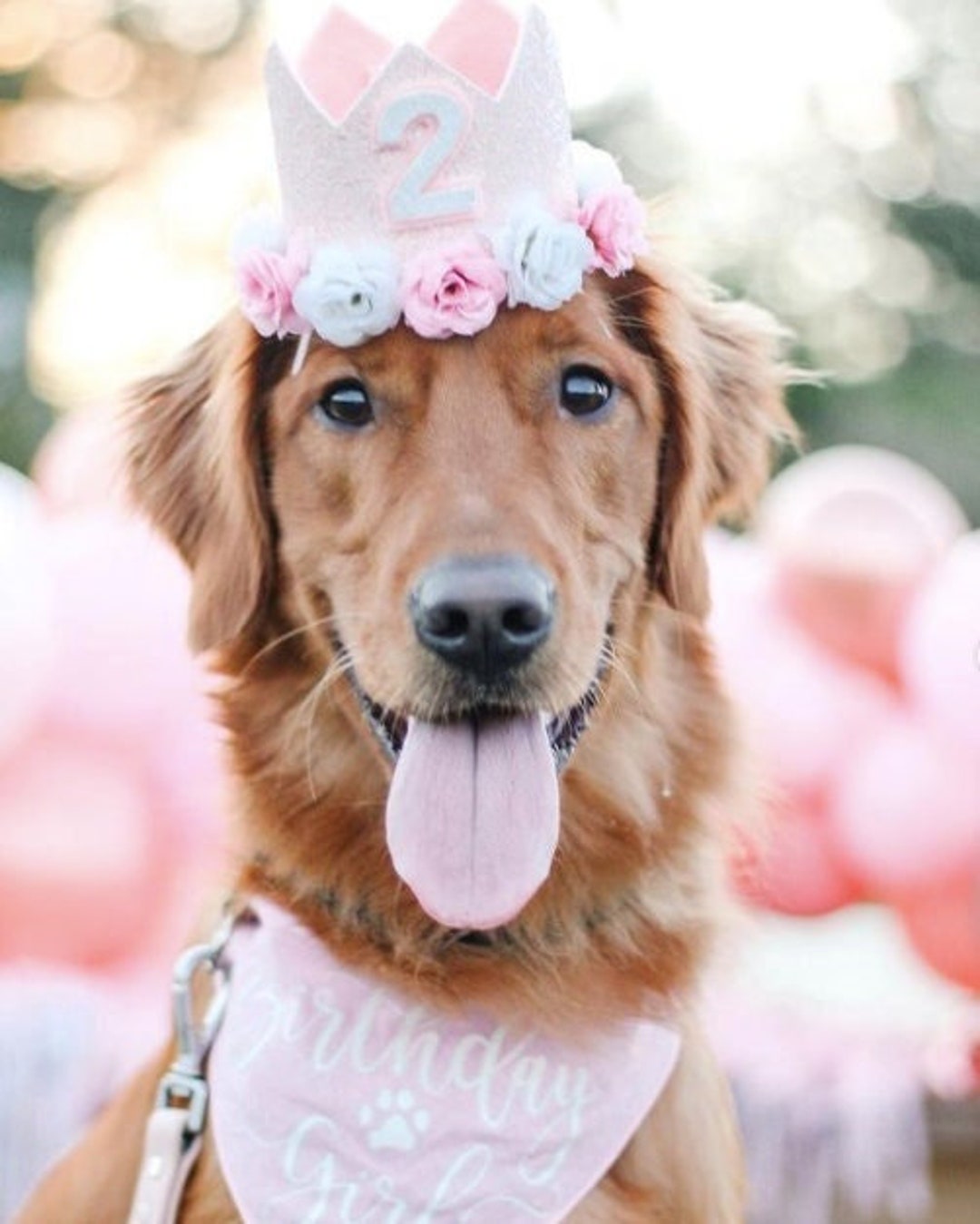 Dog Birthday Crown, Pet Birthday Crown, Dog Crown, Pet Crown Dog Party ...