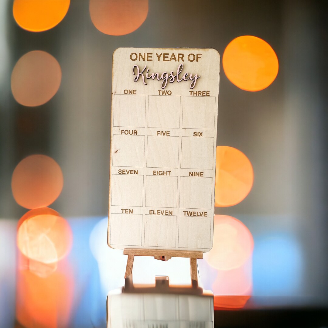 1st Birthday One Year Picture Board 1st Birthday Girl Sign Month Photo ...