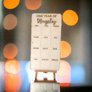 One Year of Birthday Photo Board Party Supplies Wood Photo Memory Board ...