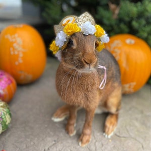 Party Hat for Rabbit, Bunny Birthday Crown, Rabbit Birthday Crown ...
