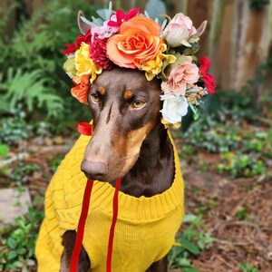 Dog Flower Costume, Custom Dog Flower Crown, Dog Flower Girl, Dog Ring ...