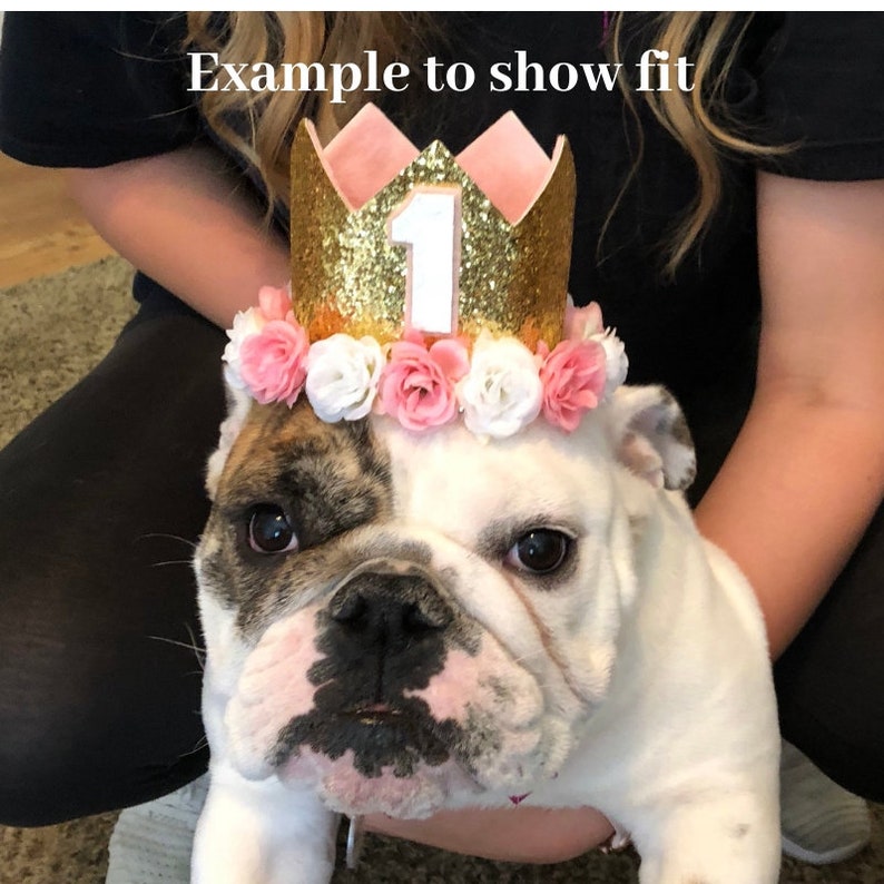 Pet Birthday Crown Dog Crown Pet Pig Cat Kitty Puppy People - Etsy