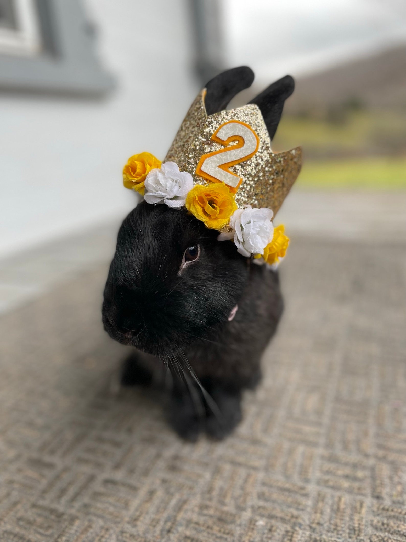 Party Hat for Rabbit, Bunny Birthday Crown, Rabbit Birthday Crown ...