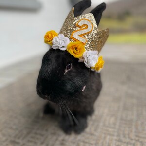 Party Hat for Rabbit, Bunny Birthday Crown, Rabbit Birthday Crown ...